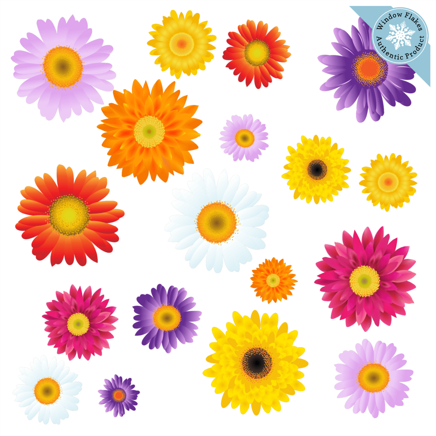 Daisy Flower Pictures Clip Art