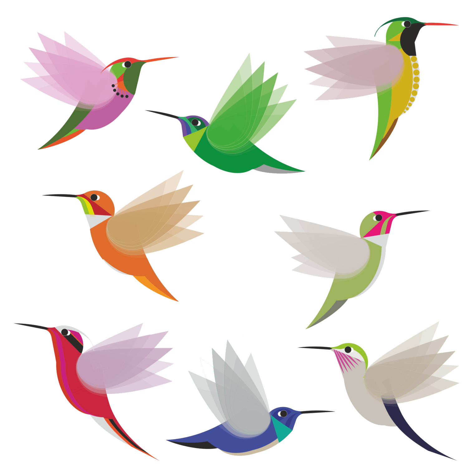 Large Illustrated Hummingbird Cling Review :: 02/24/2020 :: By Keith M ...