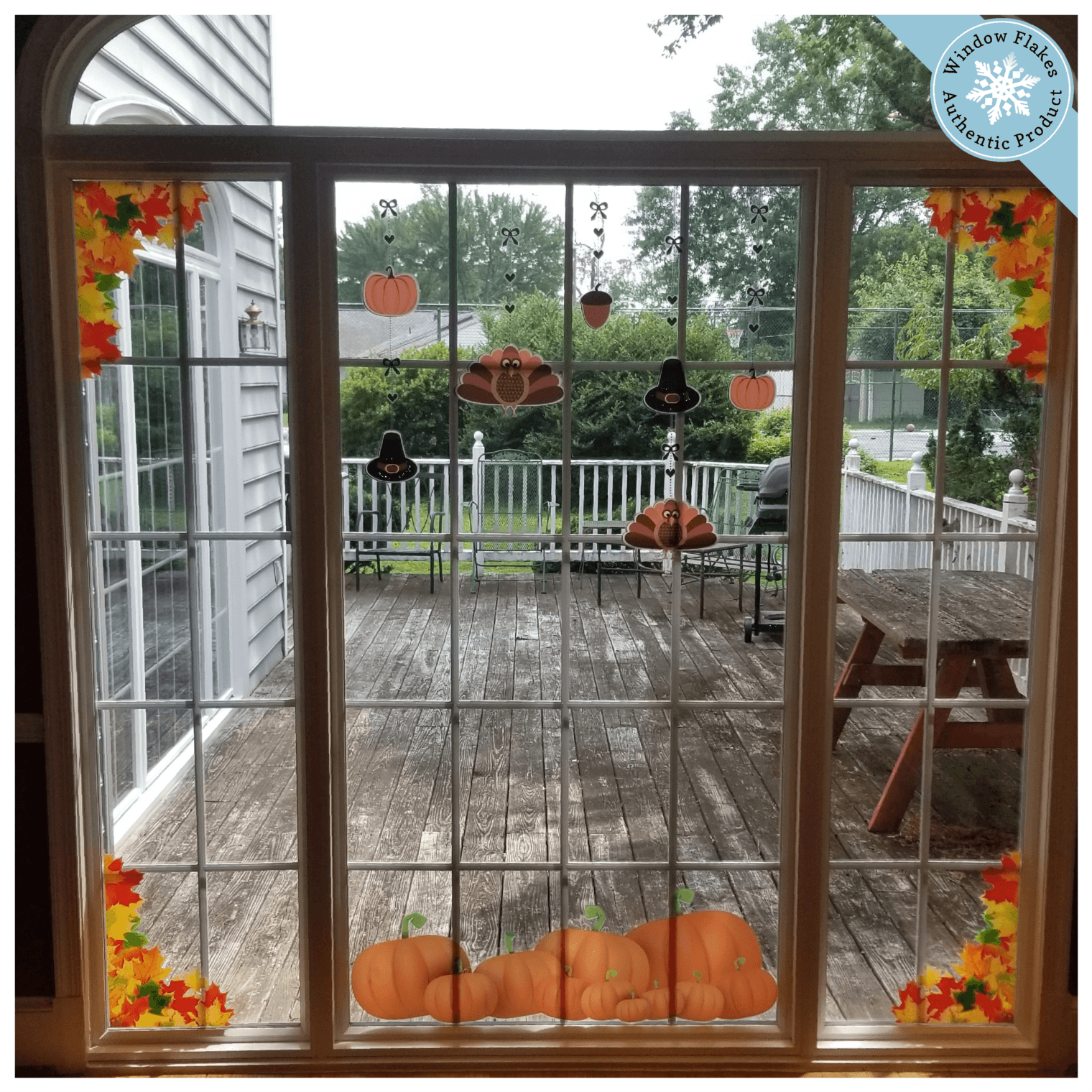 Window Leaves