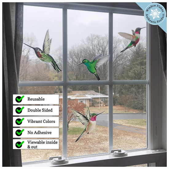 Window Decals for Bird Safety and to Prevent Bird Strikes – Window Flakes