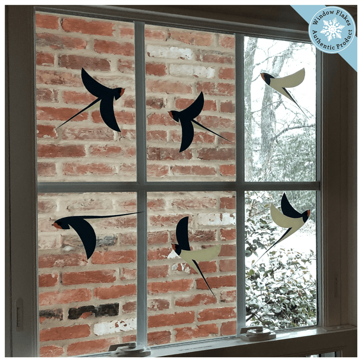 How to Stop Birds Crashing into Windows - Birds